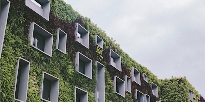 Biobased bouwen: wat is het en wat zijn de voordelen?