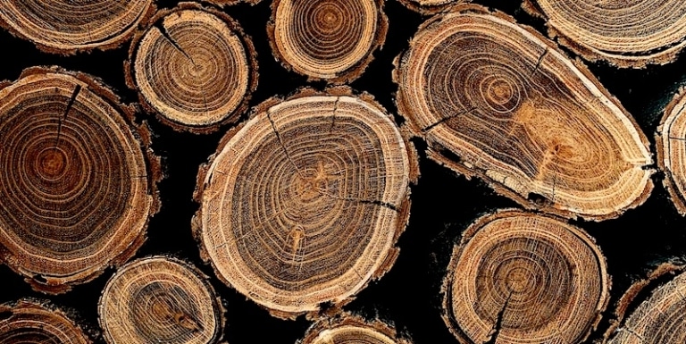 Vingerafdruk in hout beschermt tegen illegale houtkap