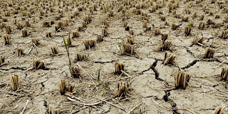 Onvoorspelbare flitsdroogtes nemen ook in Europa snel toe